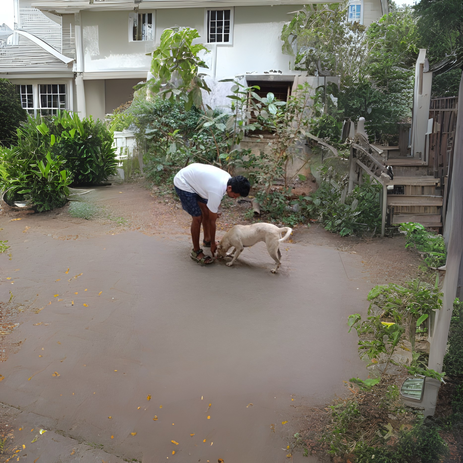JEEVDAYA – FOST Foundation